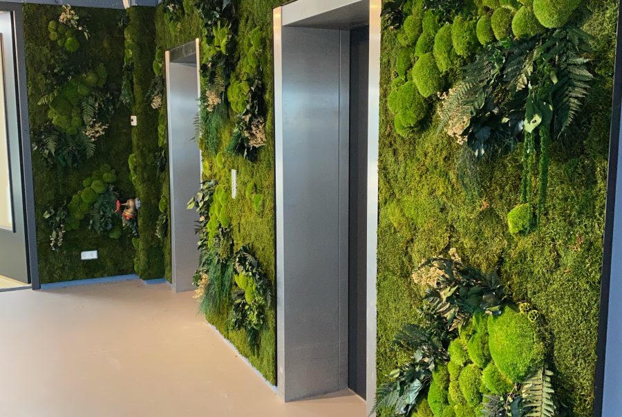 MOSWAND voor uw bedrijf - De Verticale Tuinman - Amsterdam